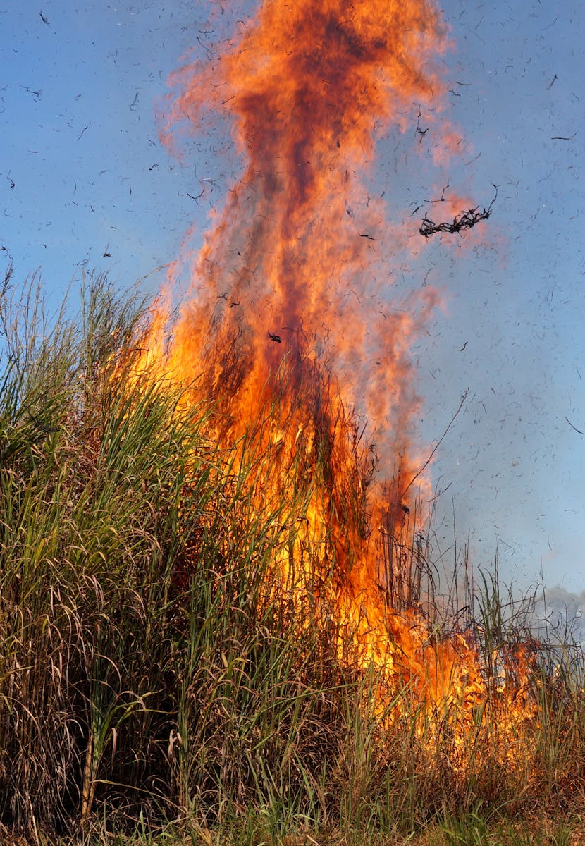 Prepare 2025: Rangeland Fires | KSStorm.Info